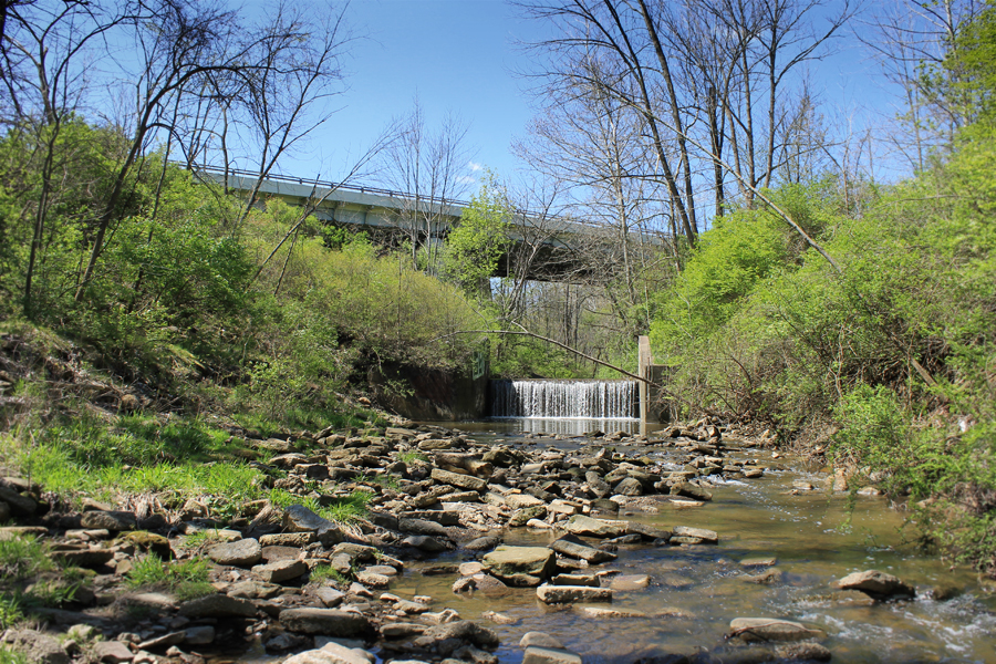 The Life and Afterlife of Davey Field – Richland County History