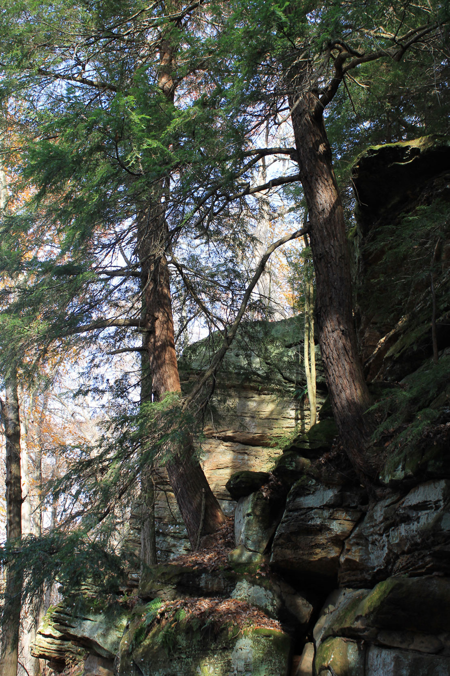 Hemlock Falls: History and Mystery Part 1 – Richland County History