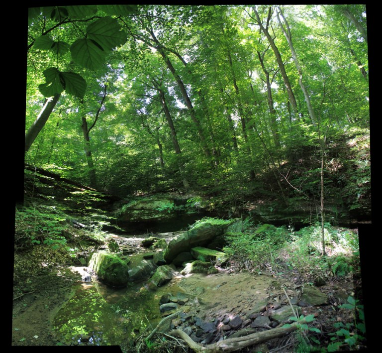 The Ghosts of Wildcat Hollow – Richland County History