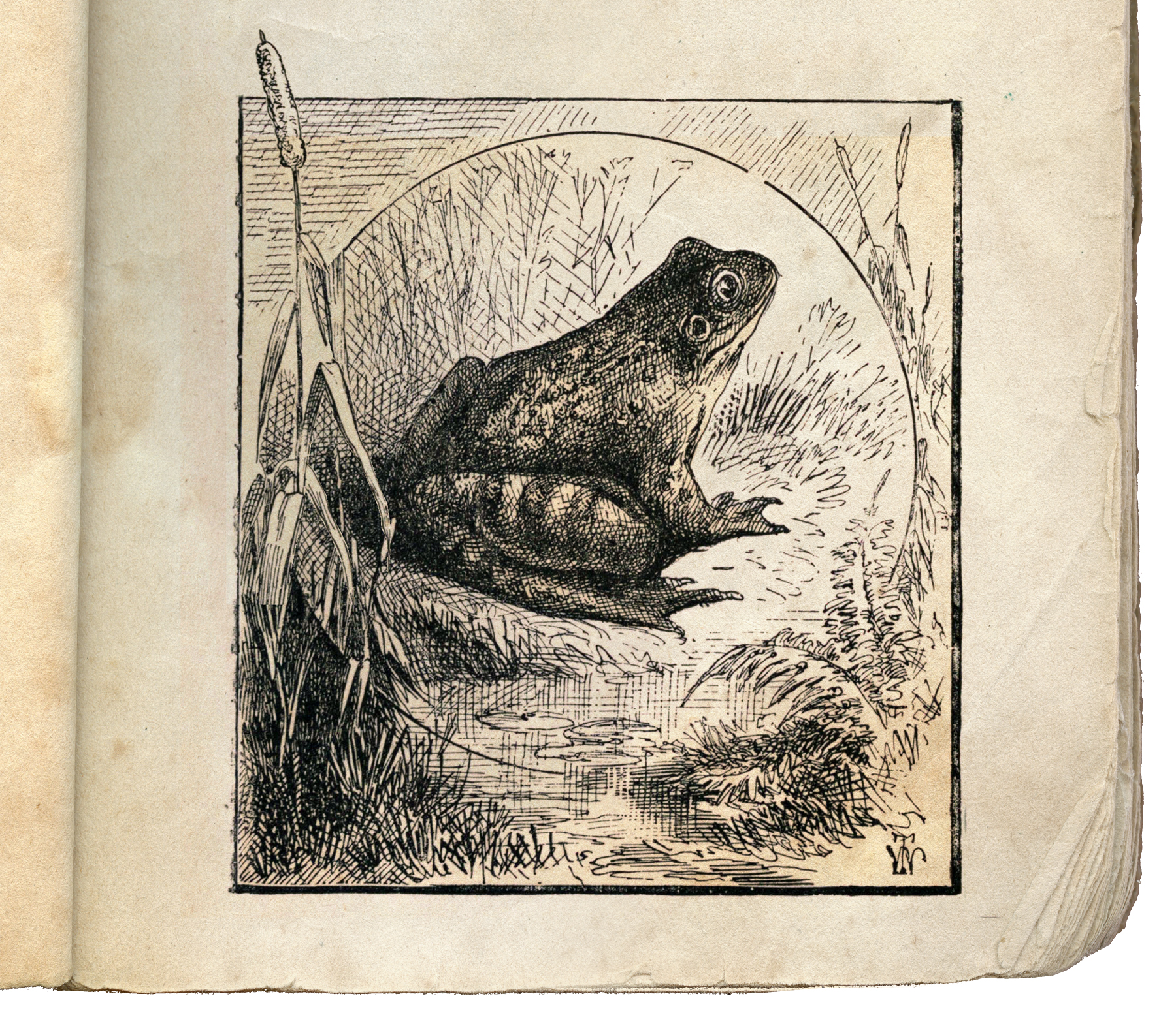 The Song of Frogtown & Life in the Flats – Richland County History