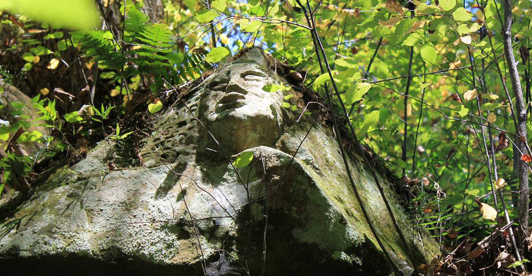 The Stone Face at Fleming Falls – Richland County History