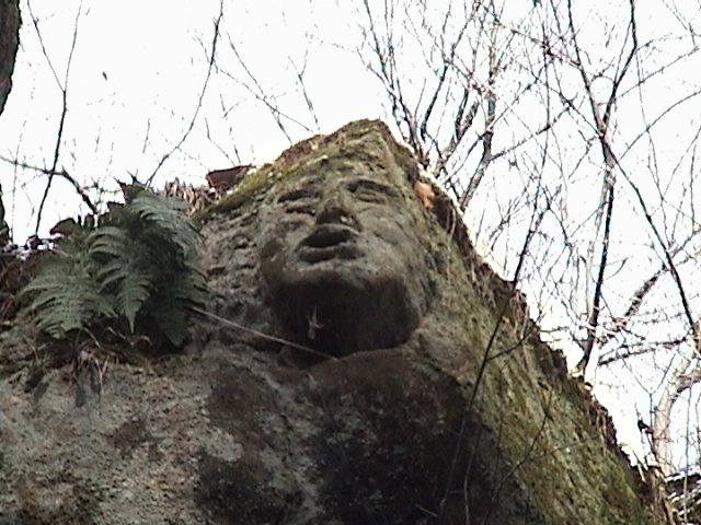 The Stone Face at Fleming Falls – Richland County History